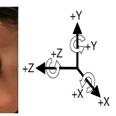 Placement Of The Earable And Orientation Of Gyroscope Axes Download Scientific Diagram