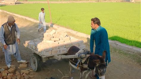 Apne Ghar Mein Yah Sab Kuch Hoga Kabhi Socha Nahin Tha YouTube