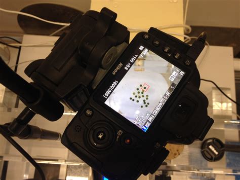 Drying And Cooking Topics Transfers Interfaces And Processes Tips