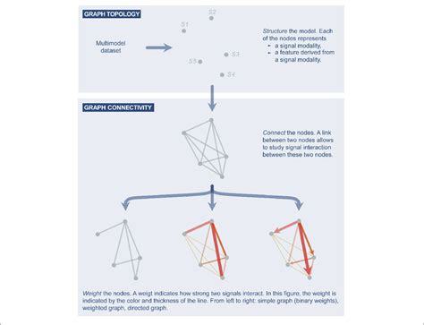 A Systematic Approach To Construct Graph Models Download Scientific Diagram