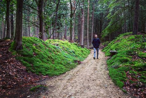 Wandeling Olmenes Appelscha 31km Beleef Het Lage Noorden