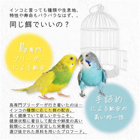 【楽天市場】文鳥 十姉妹 専用フード 700g【厳選ブレンド 手詰めによる配合の高い均一性】小鳥 インコ 餌 プロフード 小鳥のえさ 文鳥の
