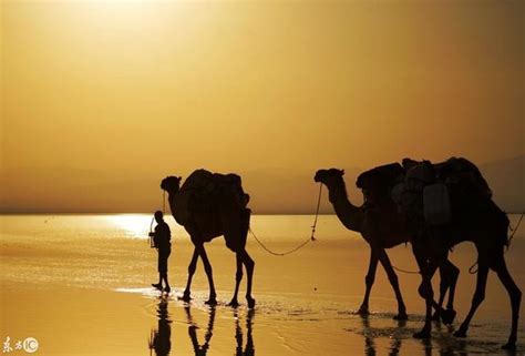 埃塞俄比亚的盐湖：这个傍晚有点美