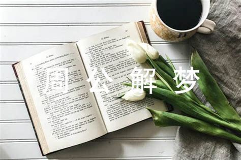 周公解梦大全查询 周公解梦在线免费查询 梦见蛇是什么预兆 原版周公解梦原版免费