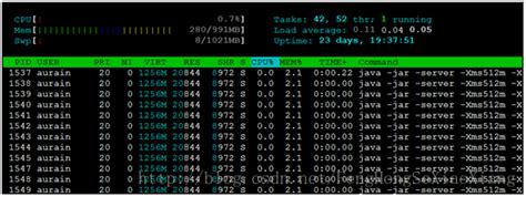linux进程监视器——htop详解 htop virt csdn博客