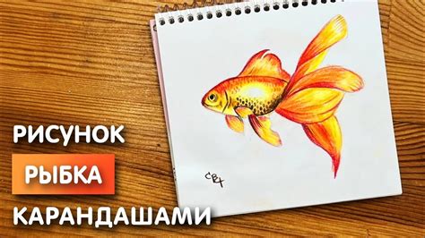 Как нарисовать золотую рыбку цветными карандашами Рисунок поэтапно