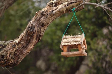Premium Photo A Bird Feeder In The Form Of A Small House Hanging On A Tree Branch