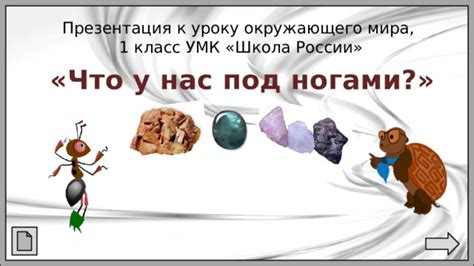 Презентация к уроку окружающего мирра 1 класс УМК Школа России Что у