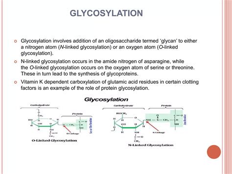 Post Translational Modifications Pptx Chemistry Science
