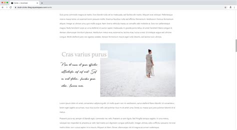Custom Font For Subtitle Text 70 And 71 Ce Image Block Overlap