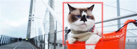 How To Identify And Fix Image Distortions Using Opencv Apriorit