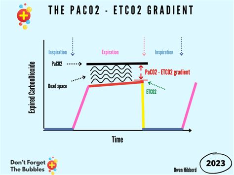 The Paco2 Etco2 Gradient Dont Forget The Bubbles