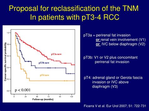 Ppt Tnm Staging System For Renal Cell Carcinoma Current Status And
