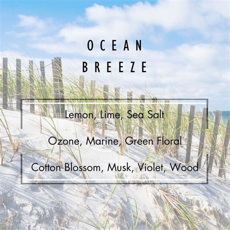 Ocean Breeze Reed Diffuser Ocean Breeze Essential Oil Fragrance Calming Scents