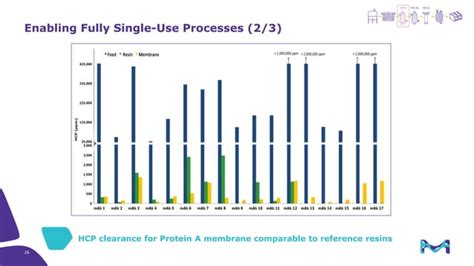High Productivity Membrane Chromatography Enabling The Next Generation