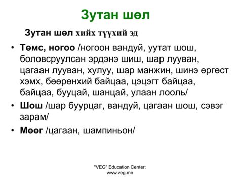 шөлтэй хоол бэлтгэх технологи Pdf