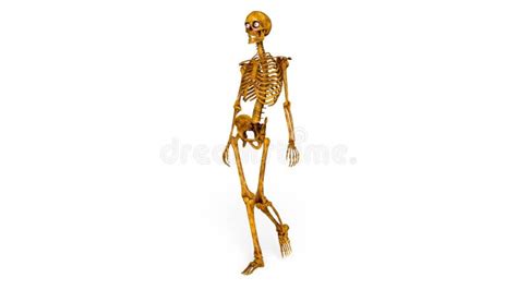 Walking Skeleton In Comic Style Fluorescent Textures And Patterns