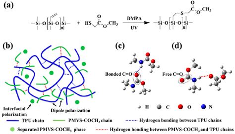 A Mechanism For Preparation Of Pmvs Coch B Schematic