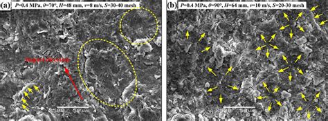 Sem Image Of The Eroded Surface Of The Polyurethane Coating Download