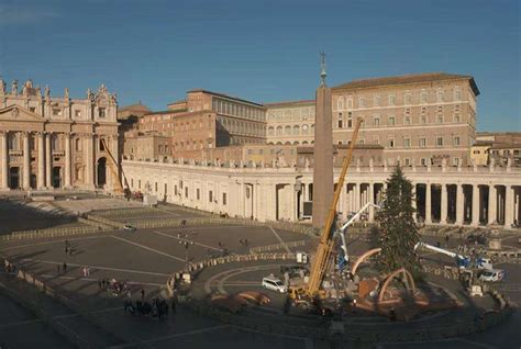 Rimossi Da Piazza San Pietro Lalbero Di Natale Abruzzese E Il Presepe