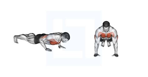 Push Up Plus Guide Benefits And Form