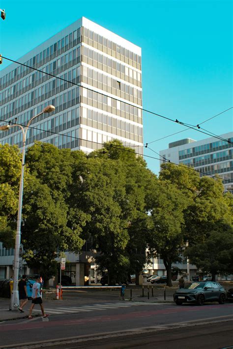 Tanlineshairybush Photos Download The Best Free Tanlineshairy