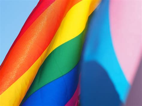 Chilango Después Del 31 De Marzo La Lucha De La Comunidad Trans Es