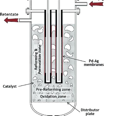 Schematic Of A Membrane Reactor Download Scientific Diagram