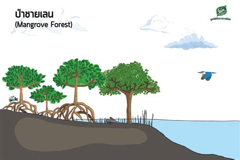 เกร็ดความรู้ มูลนิธิสืบนาคะเสถียร