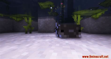 More Axolotl Variants Mod 1 19 2 1 18 2 Introducing More Adorable