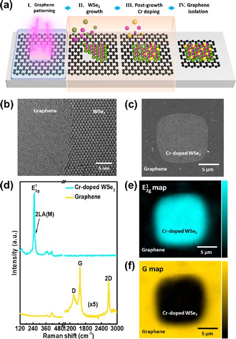 Cvd Growth Procedure And Characterization Of The Cr Doped Wse 2 Download Scientific Diagram