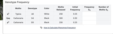 Solved Lab Data X Is This The Correct Allele Frequency Chegg