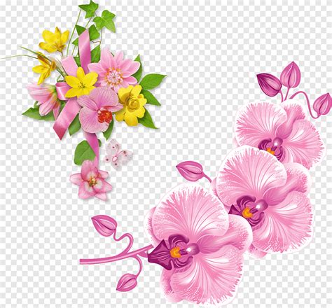 ภาพประกอบกล้วยไม้ Ac 4 โฆษณา 4 Png Pngegg