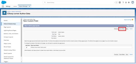 Creating Text And Text Area Field Data Types In Salesforce Object
