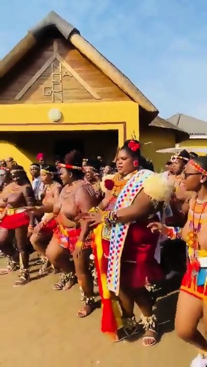 Zulu Giant Tits Eporner