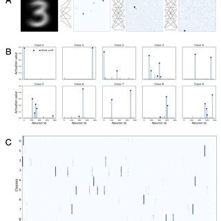 Activation Patterns In A MLP Trained On The MNIST Data Set According Download Scientific