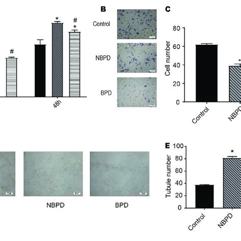 Exosome Identification A Expression Of Exosomal Markers Was