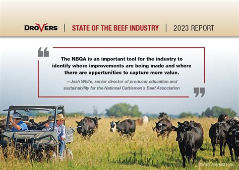 What The 2022 National Beef Quality Audit Says About The Cattle