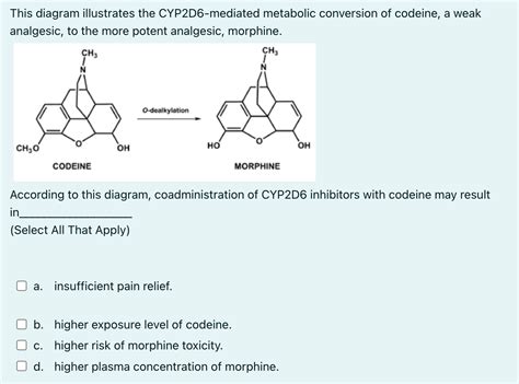 Solved This Diagram Illustrates The Cyp2d6 Mediated