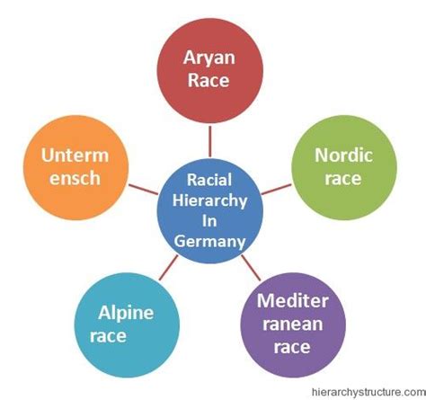 13 Best Racial Hierarchy Images On Pinterest Social Class A Business