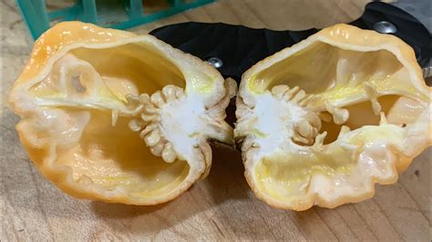 Ground Pepper For Bleeding At Darren Henderson Blog