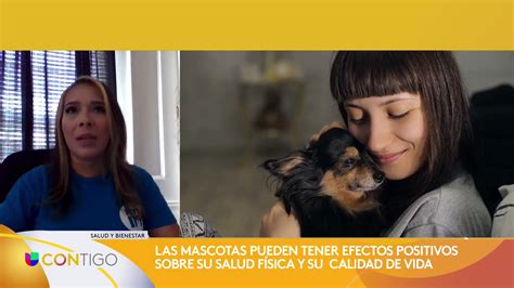 Las mascotas pueden tener efectos positivos en su salud física y