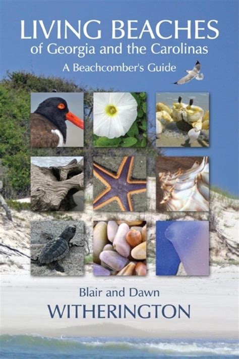 Best Seashell Books ~ So You Can Impress Your Friends With Your Mollusk