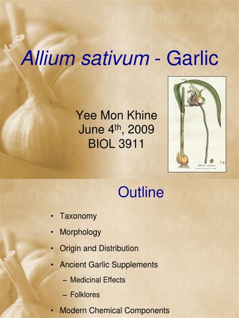 Allium Sativum Final Draft Pdf Garlic High Density Lipoprotein