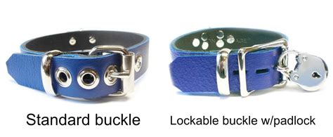 Blue Lockable Bdsm Collar With Simple D Ring — Von Bondage