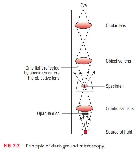 Microscopy And Types Of Microscopy
