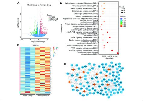 High Throughput Transcriptome Sequencing And Kegg Pathway Enrichment Download Scientific