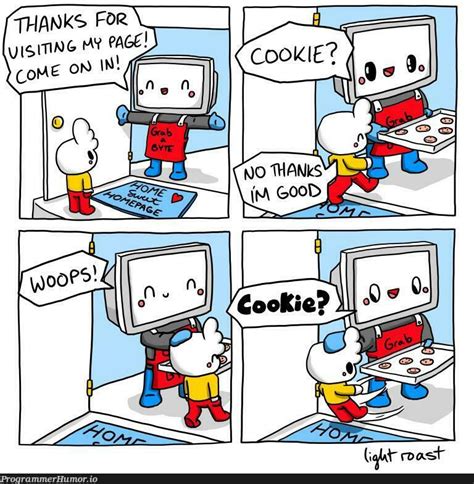 No Thanks Im Full Of Cookies ProgrammerHumor Io