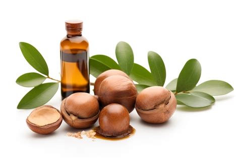 Premium Photo Argan Seeds Isolated On A White Banner Background Argan