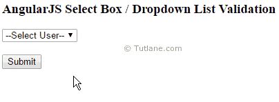 Angularjs Select Box Dropdown List Binding With Validations Example